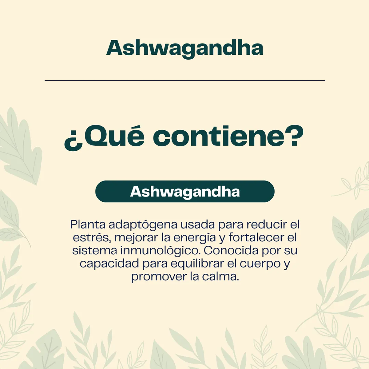 Ashwagandha Premium 450 Mg 60 Cápsulas