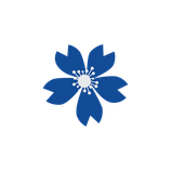 Matizador azul rey mate