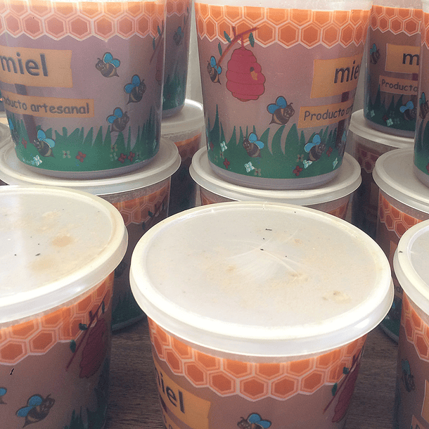 10 Potes de 1kg de Miel Multiflora en Envases de Plástico