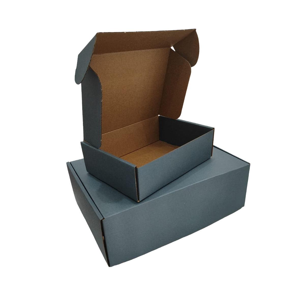 Caja Cartón Microcorrugado Multiuso Autoarmable Gris 50 unid