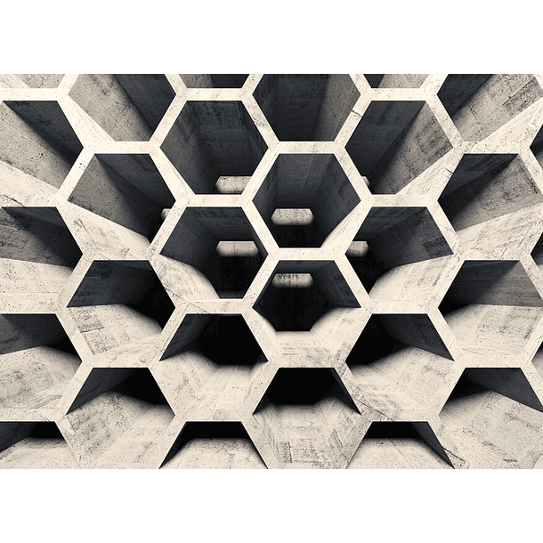 HONEY COMB STRUCTURE 2