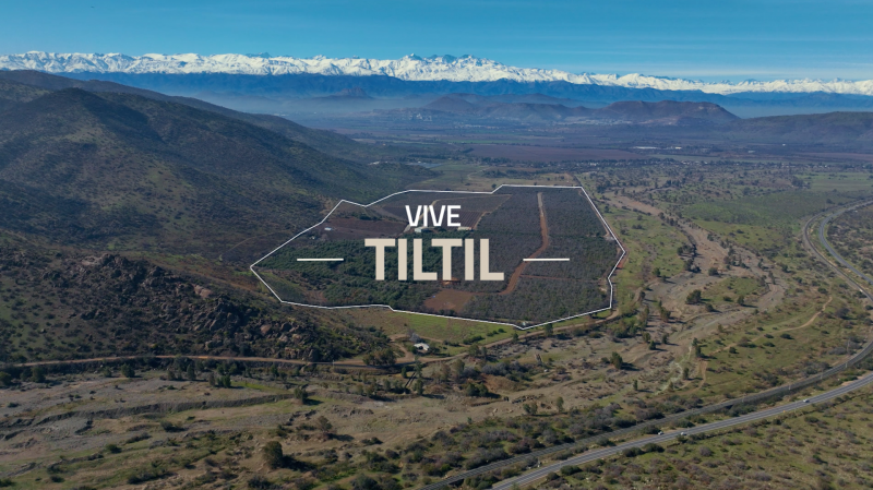 Proyecto Vive TIL TIL Región Metropolitana ultimas disponib