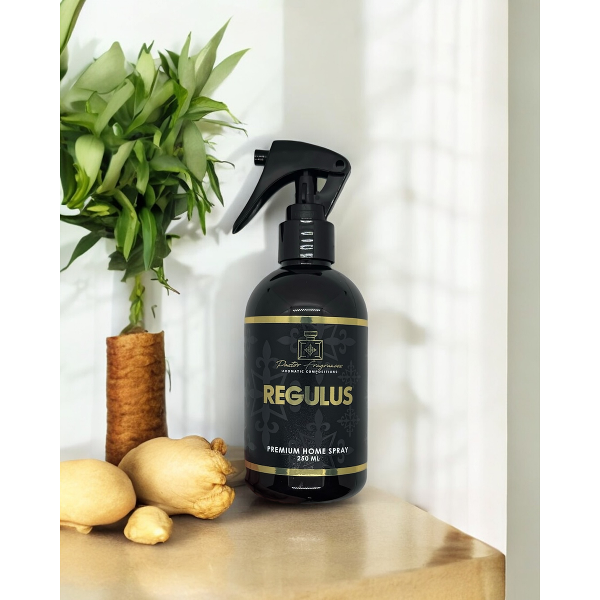Home Spray REGULUS