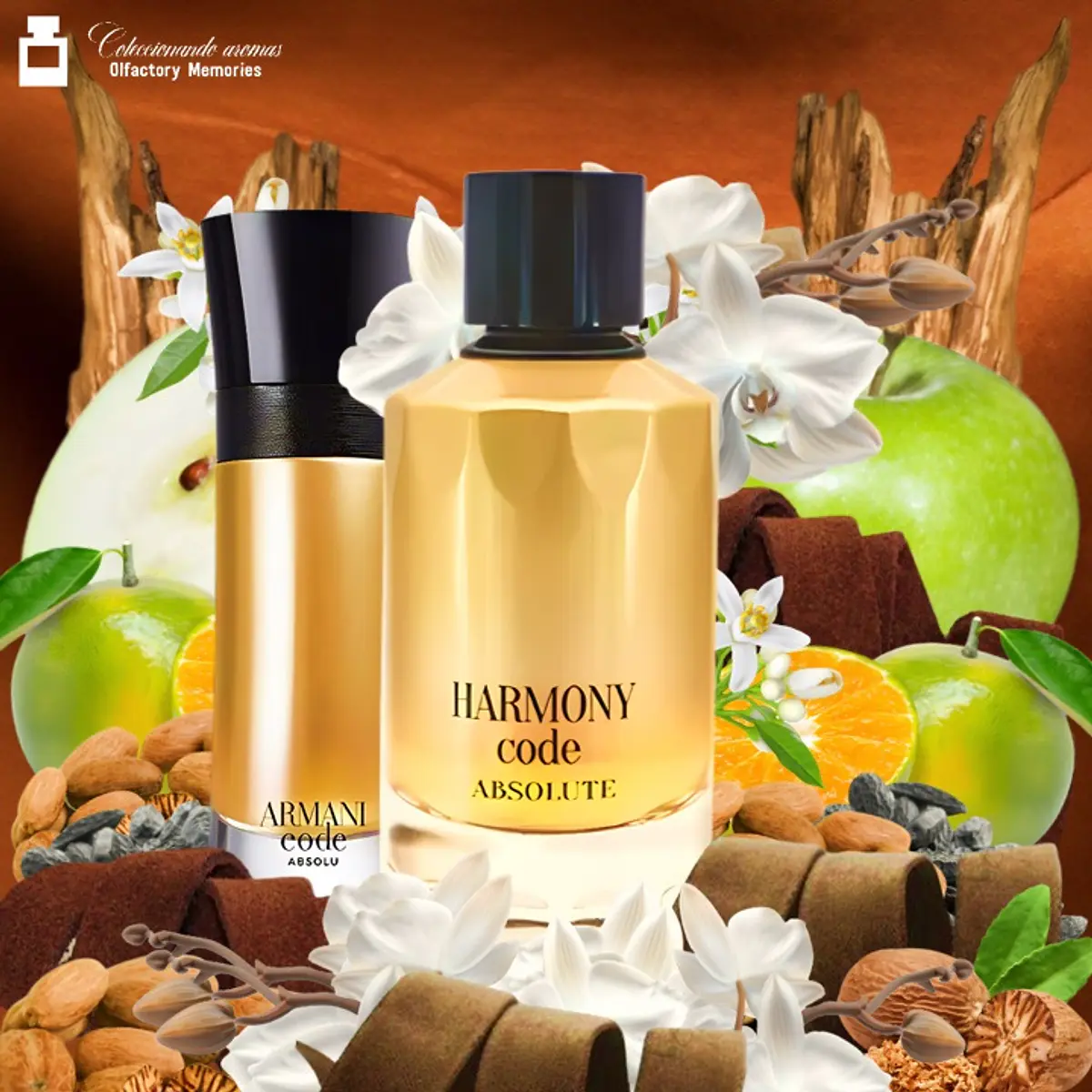 Perfume Fragrance World Harmony Code Absolute EDP 100 Ml Hom