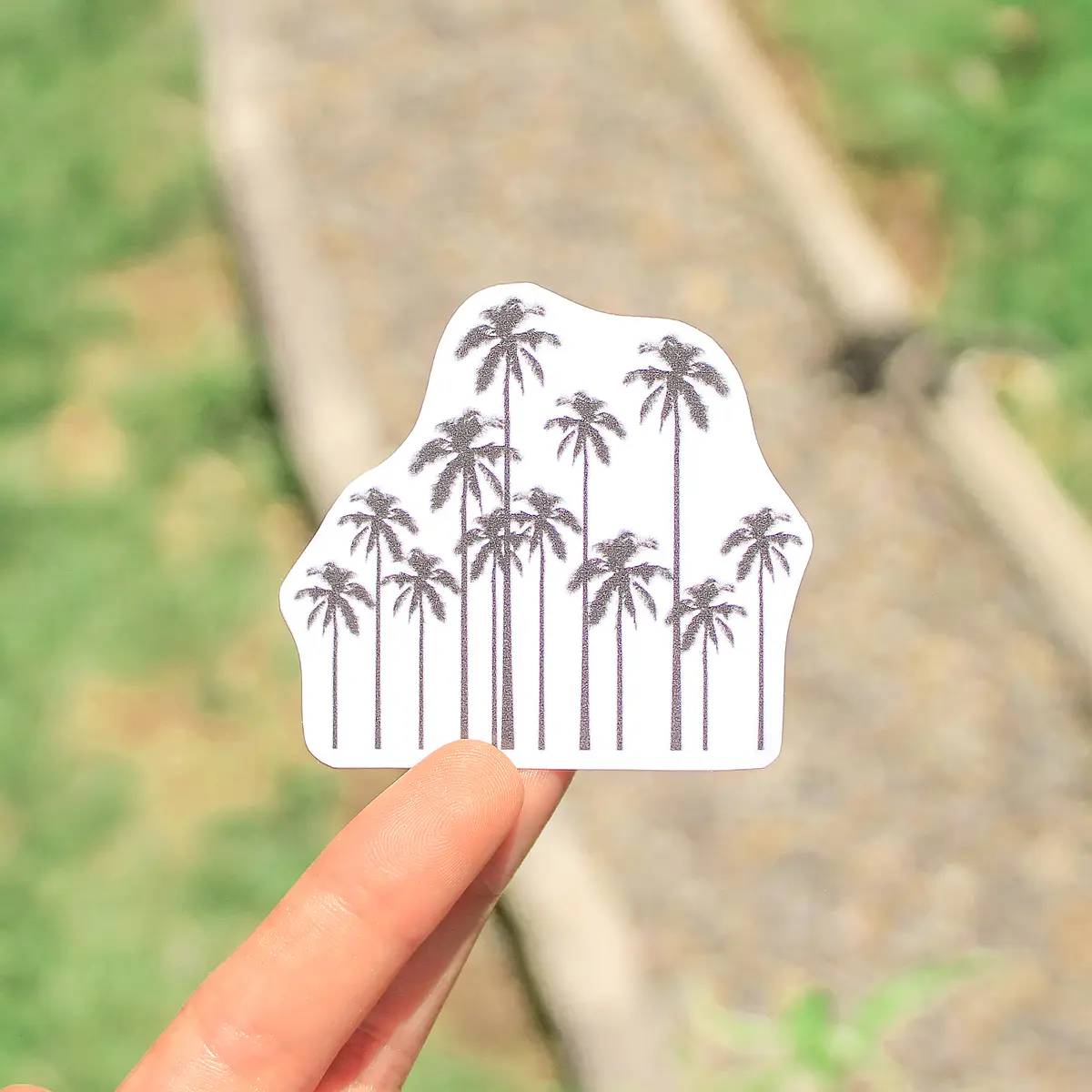 Palmeras
