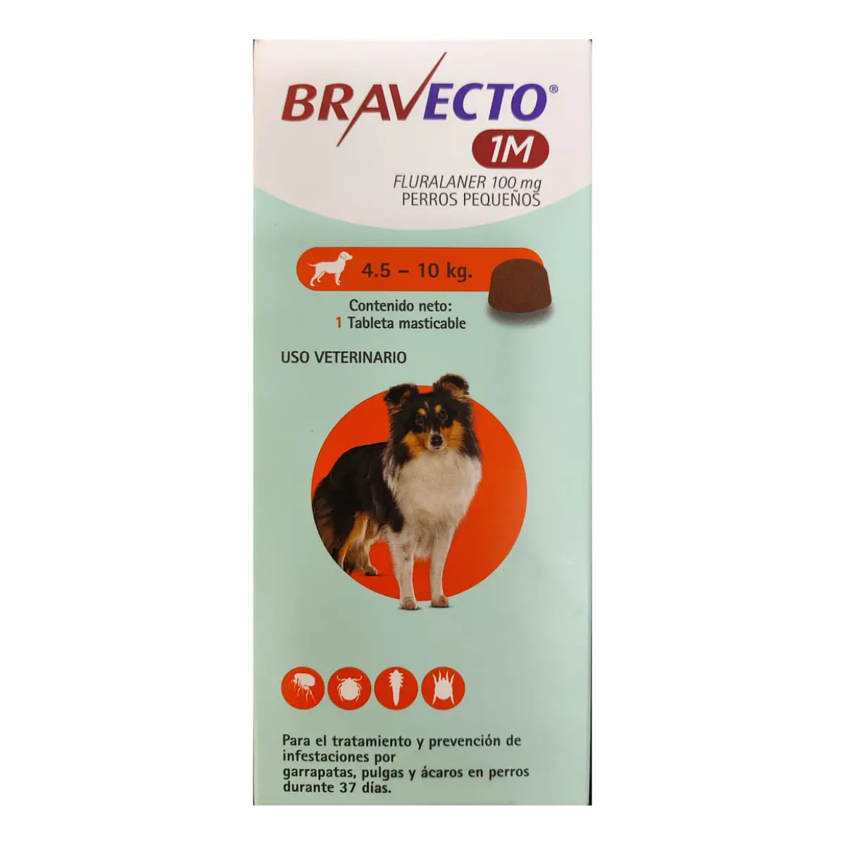 Tableta Bravecto para garrapatas, pulgas y acaros en perros