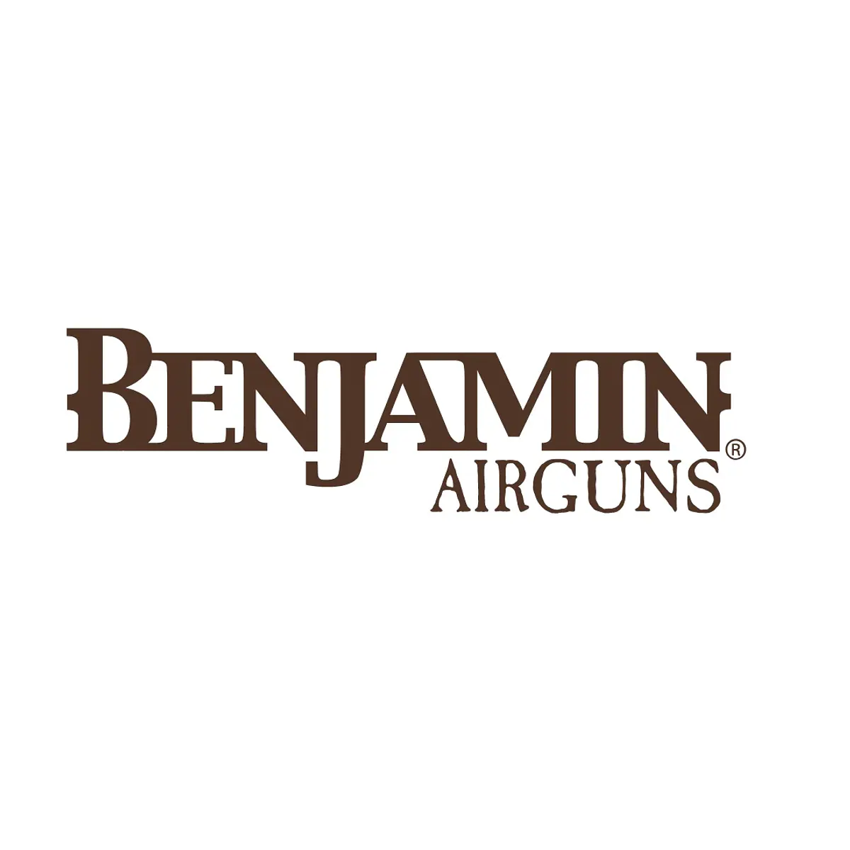 RIFLE NITRO PISTON BENJAMIN VAPORIZER CALIBRE 5.5 INCLUYE...