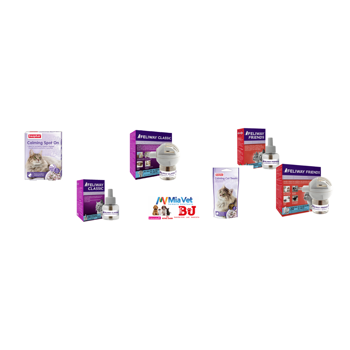 Ansiedad Gatos | PET BJ