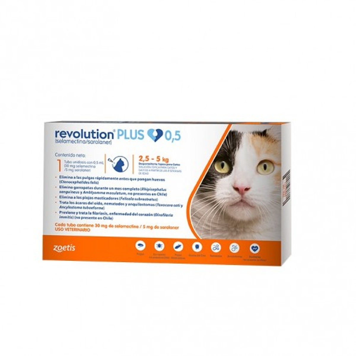 Revolution Plus 2.6 - 5 Kg | PET BJ