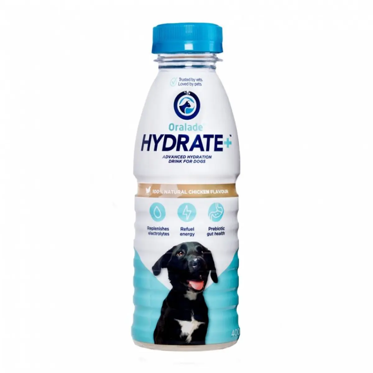 Hydrate Dog 500 Ml | PET BJ