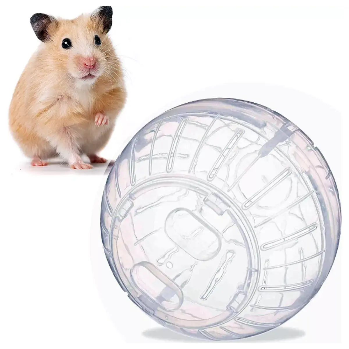 Bola Esfera para Hámster 14.5 Cm Diámetro | PET BJ