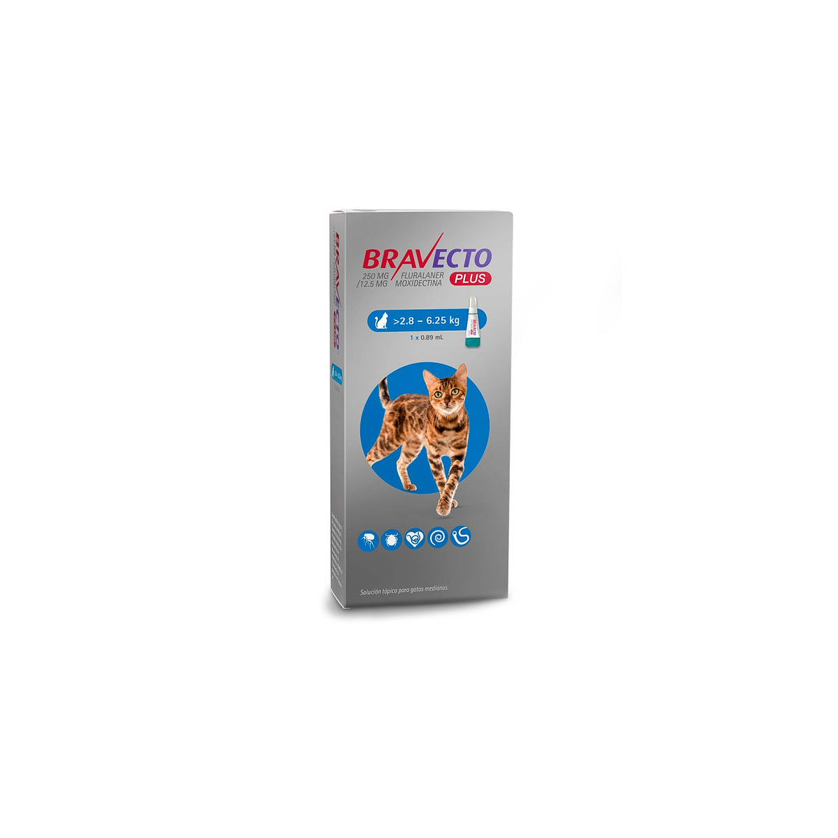 Bravecto Plus Gato 2.8 a 6.25 Kg | PET BJ