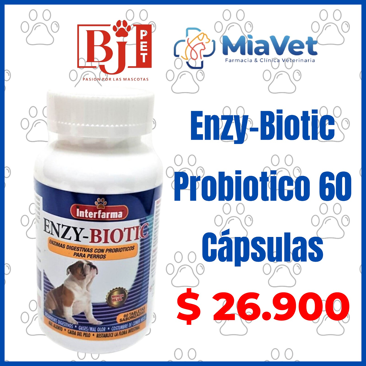 Enzy-Biotic Probiotico 60 Cap | PET BJ