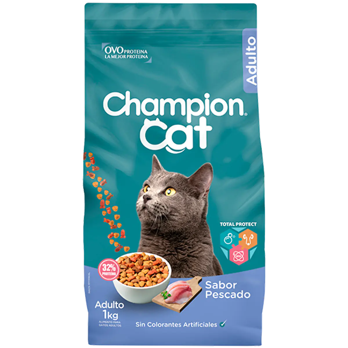 Champion Cat