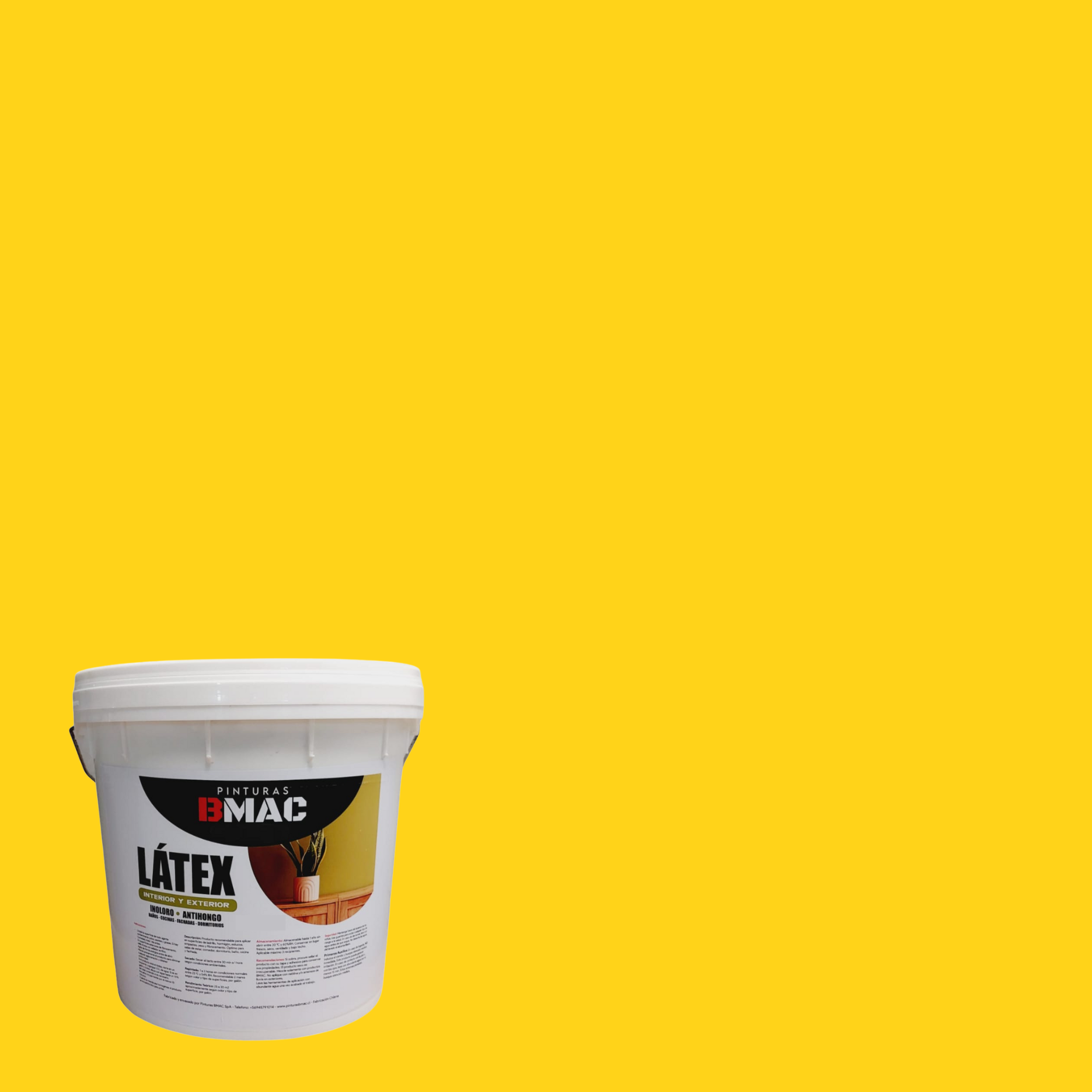 Látex Amarillo Rey Tineta