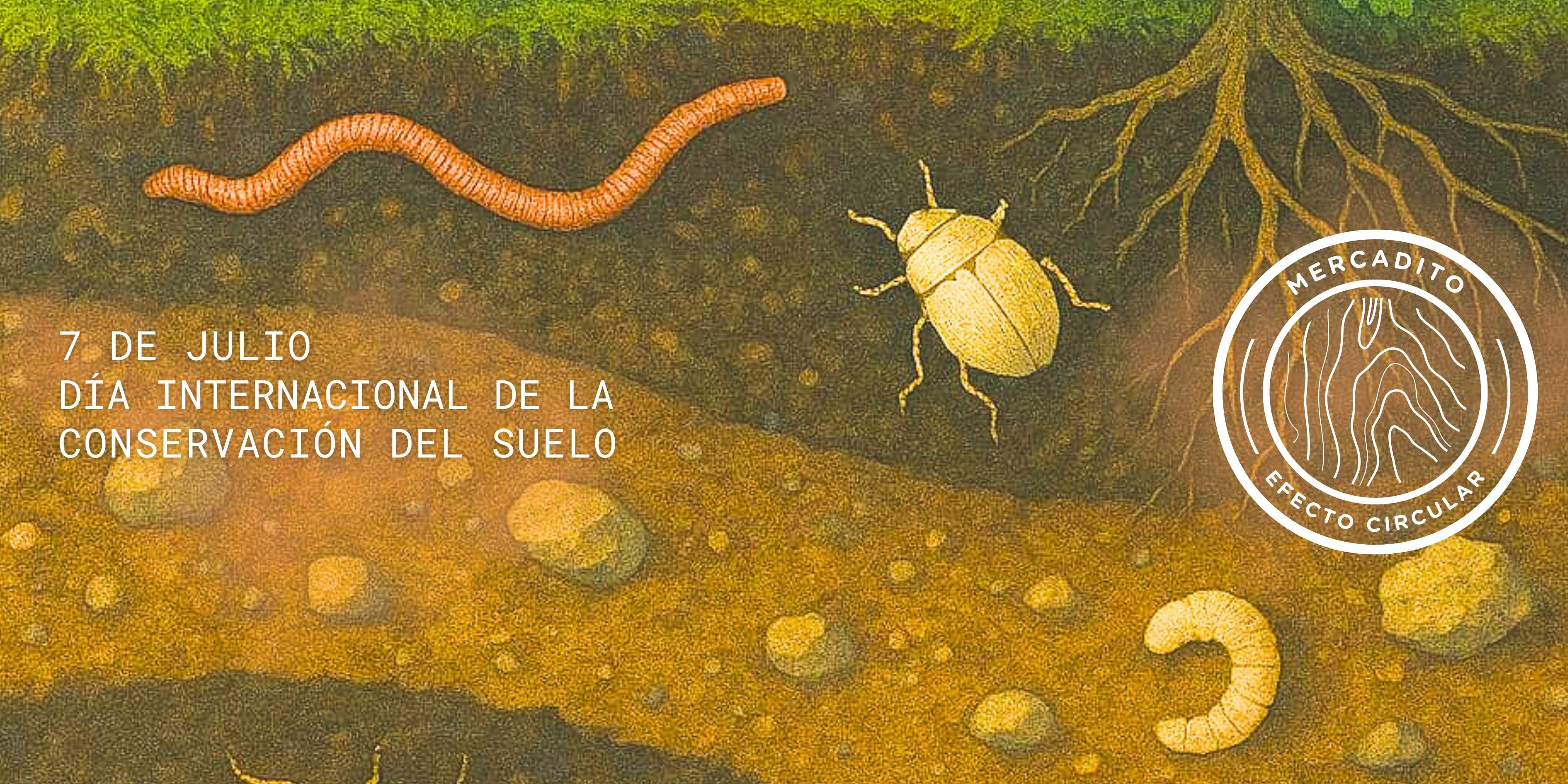 8 edición Mercadito Efecto Circular conmemora: el Día Intern