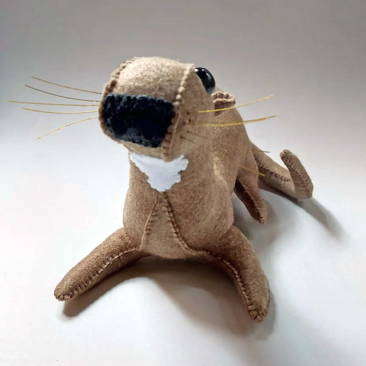 Nutria