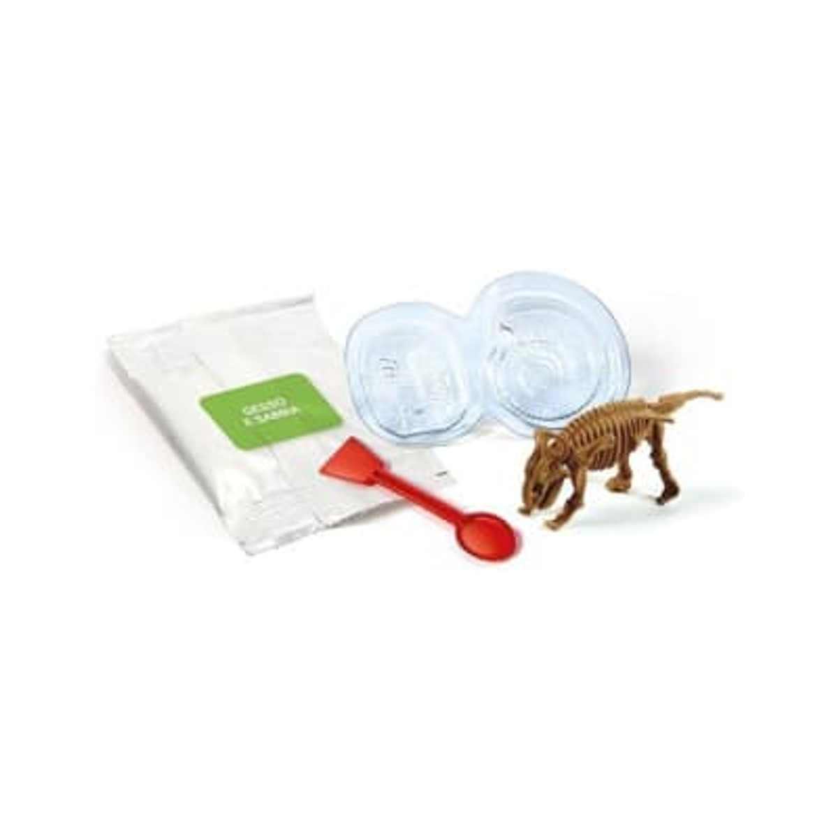 MINI SET FOSSILS (ES).