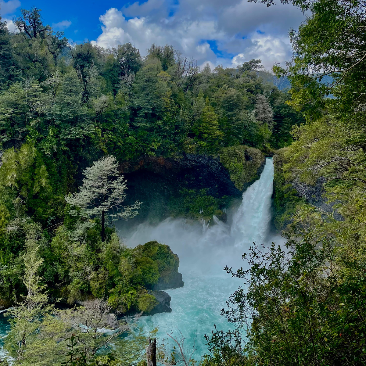 Acceso Portal Huilo Huilo