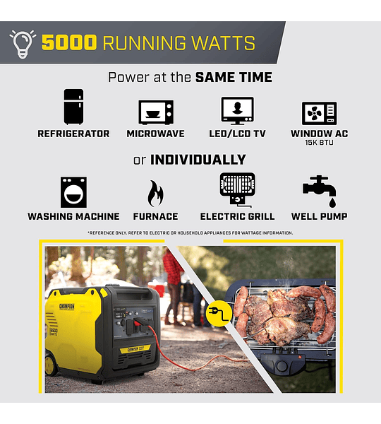 Champion Power Equipment 201238 6500-Watt RV Ready Genera...