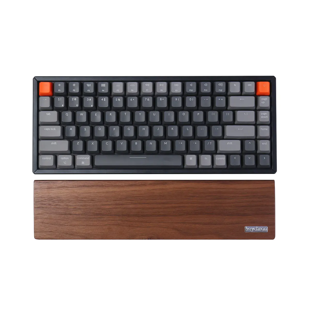 PalmRest