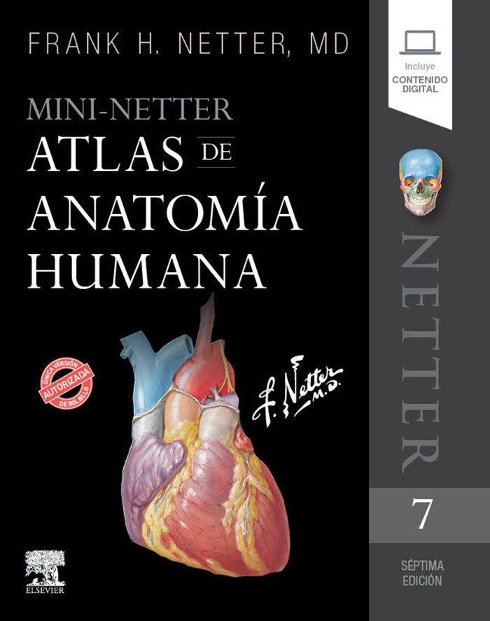 Mini-netter Atlas de Anatomía Humana