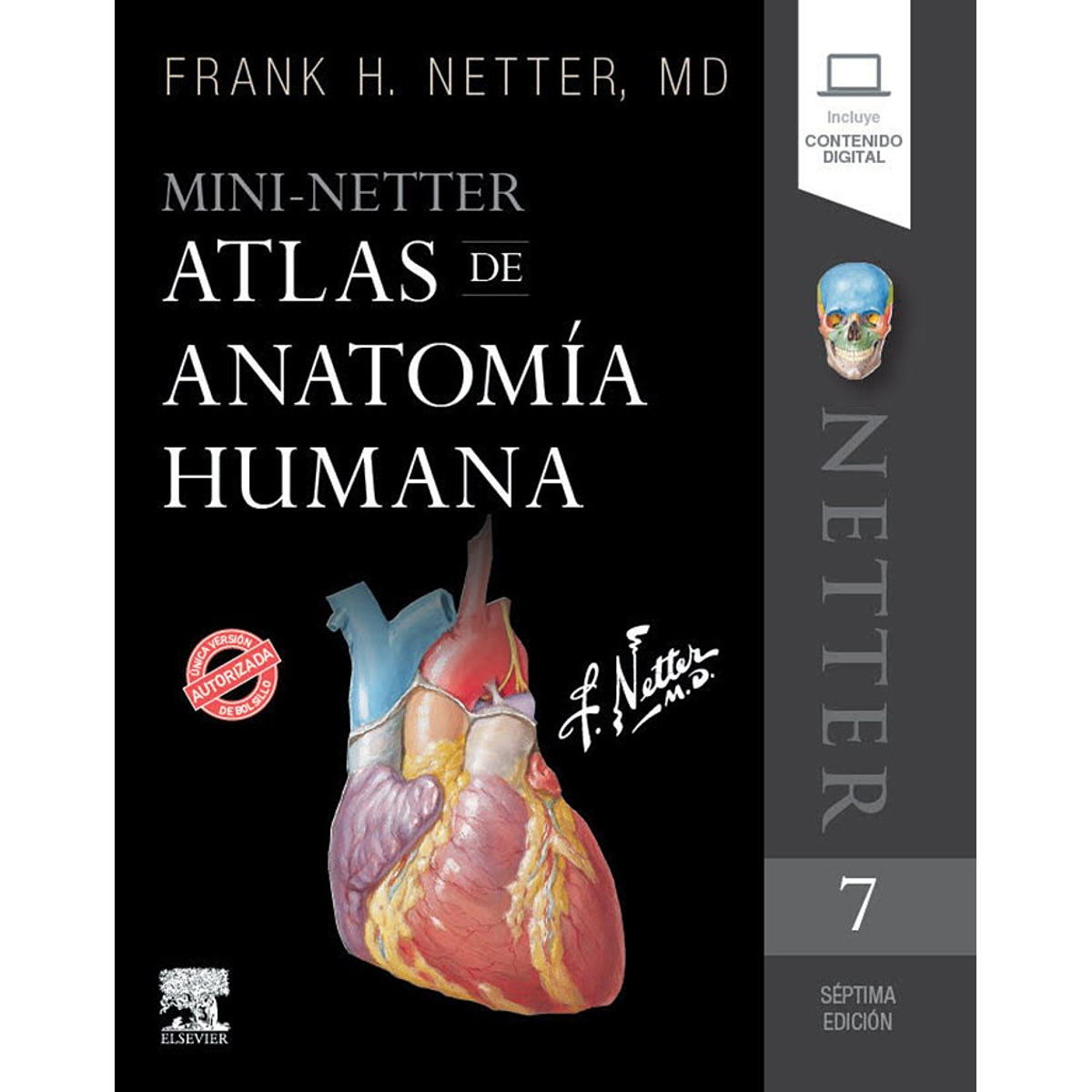 Mini-netter Atlas de Anatomía Humana