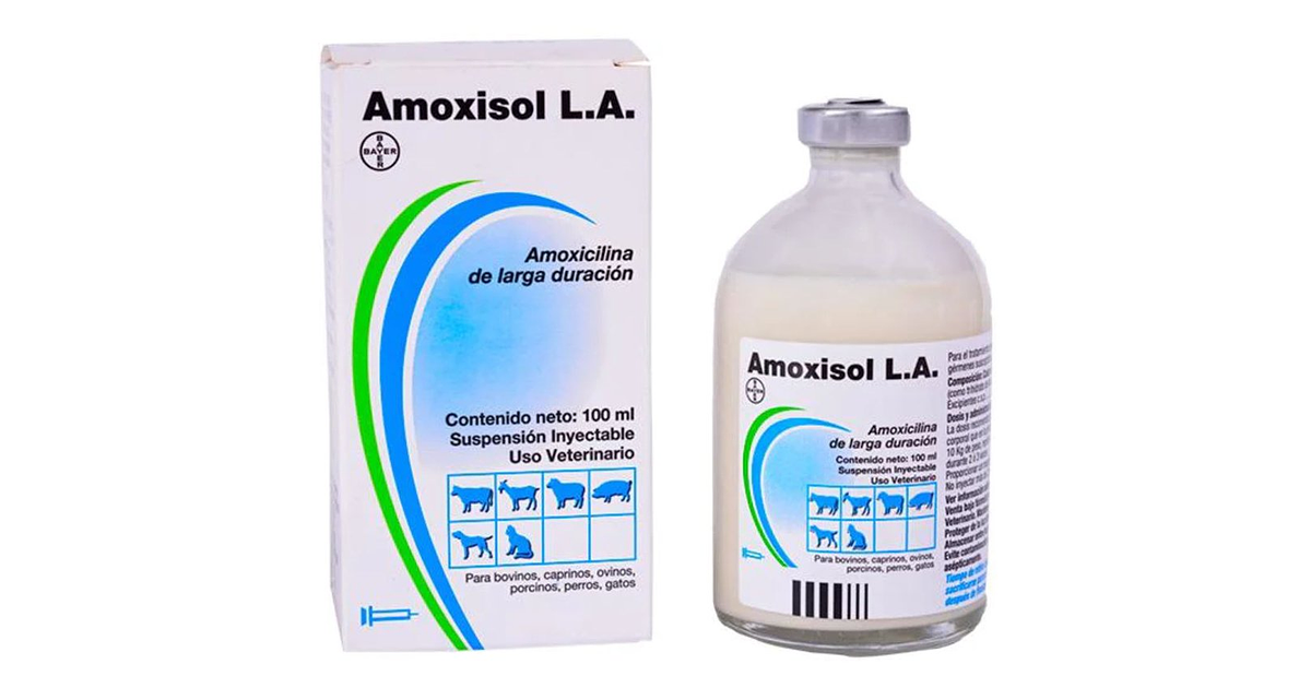 Amoxisol La Antimicrobiano Inyectable Bovinos 100Ml