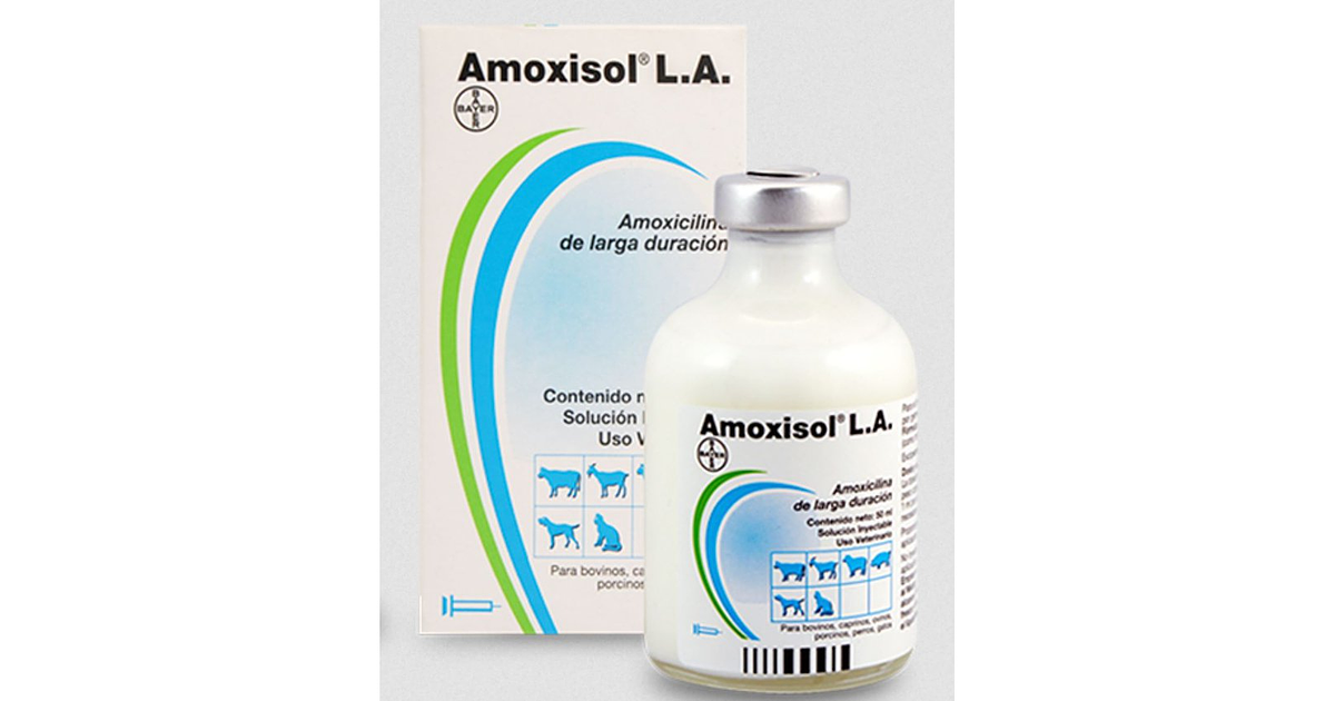 Amoxisol La Antimicrobiano Inyectable Bovinos 50Ml