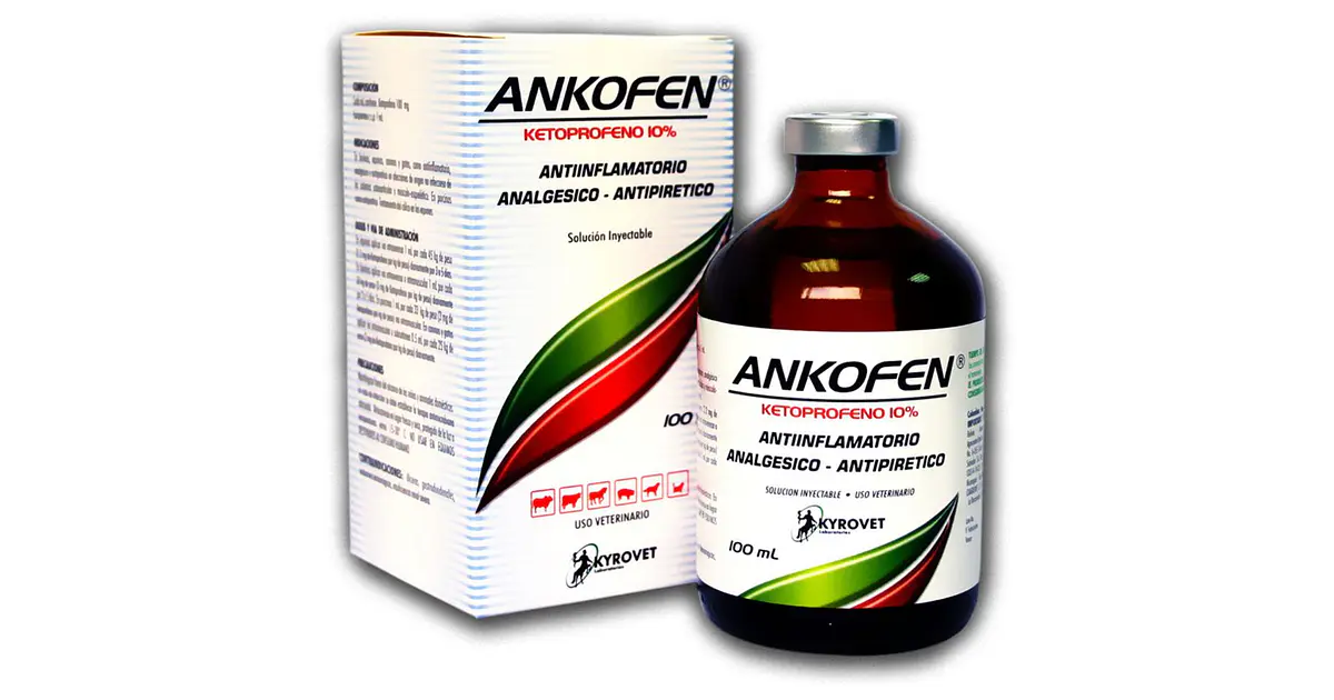 Ankofen 10 Antiinflamatorio Inyectable Perros Gatos 100Ml
