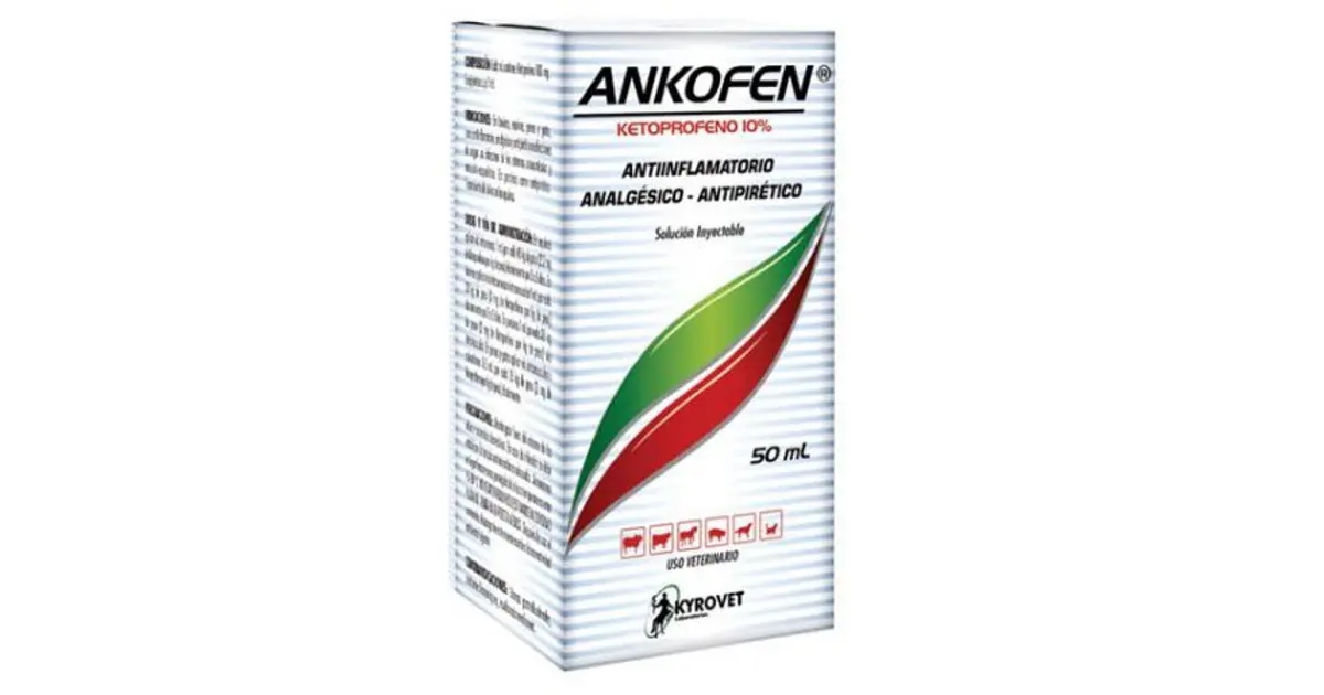Ankofen 10 Antiinflamatorio Inyectable Perros Gatos 50Ml