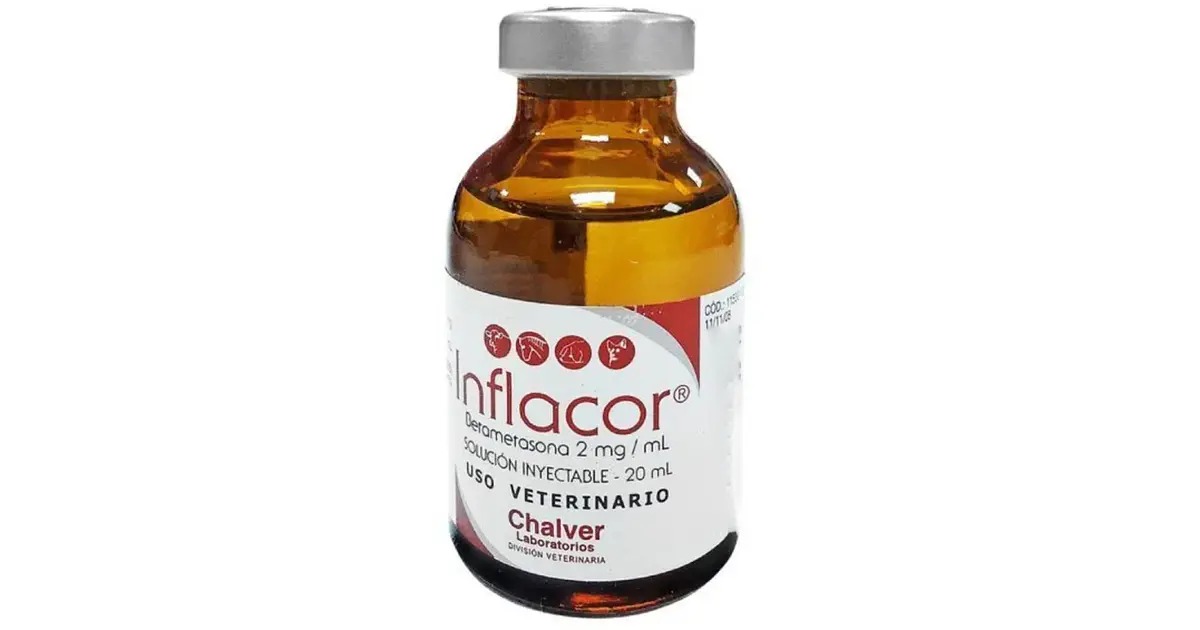 Inflacor Antiinflamatorio Inyectable Perros 20Ml