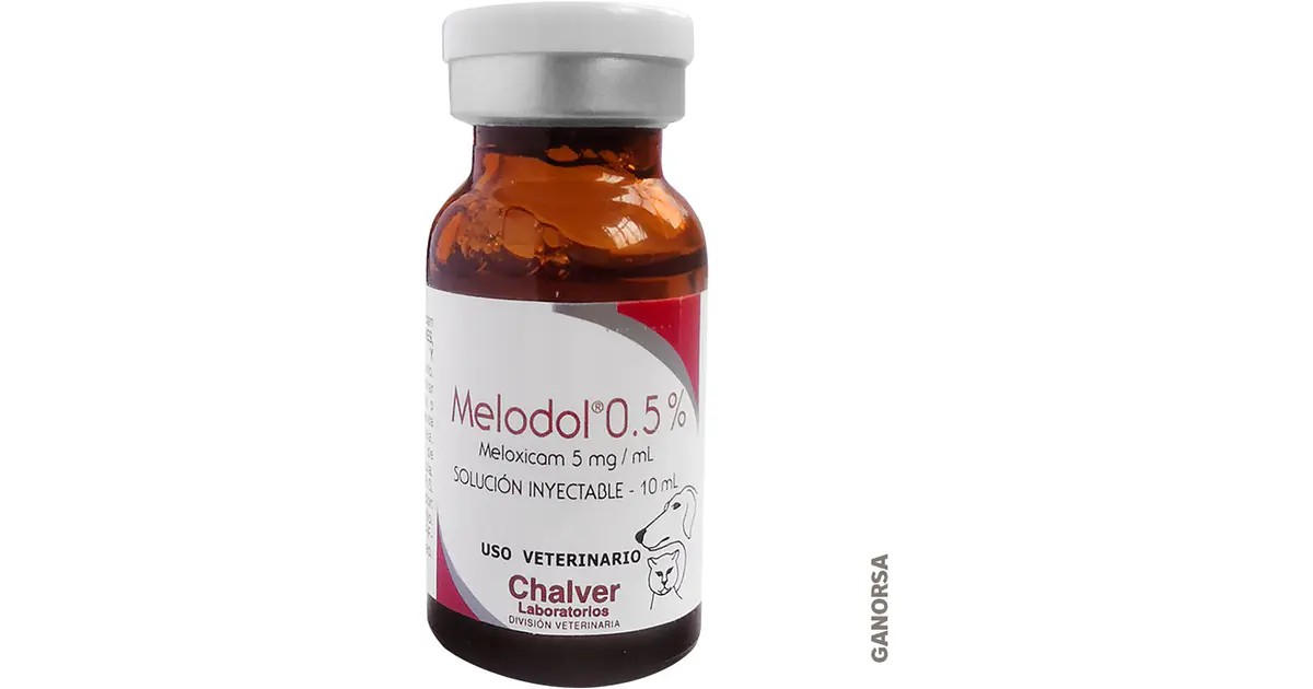 Melodol 0.5 Antiinflamatorio Inyectable Perros 10Ml
