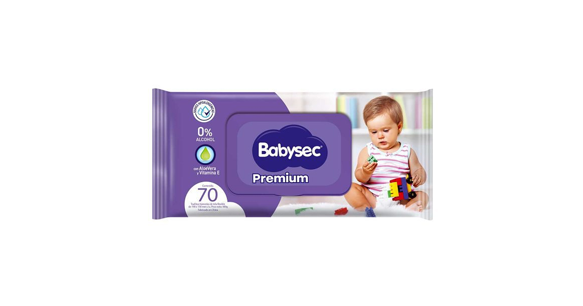 Toallitas húmedas Babysec 70 unidades