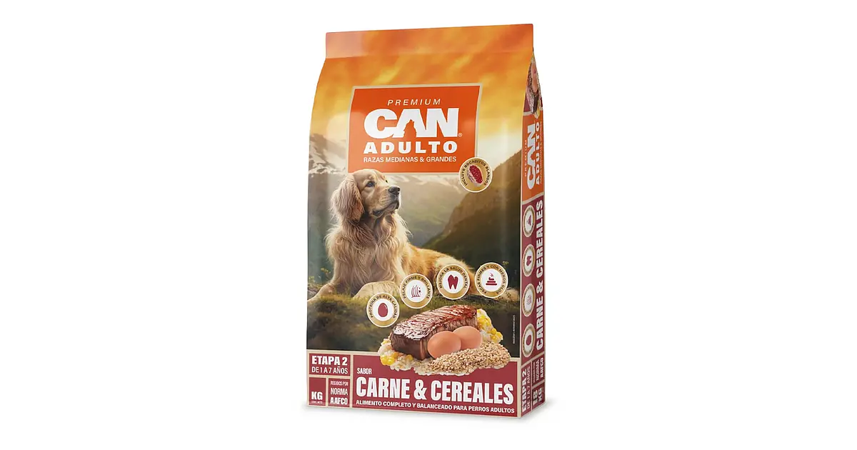 Can Adulto