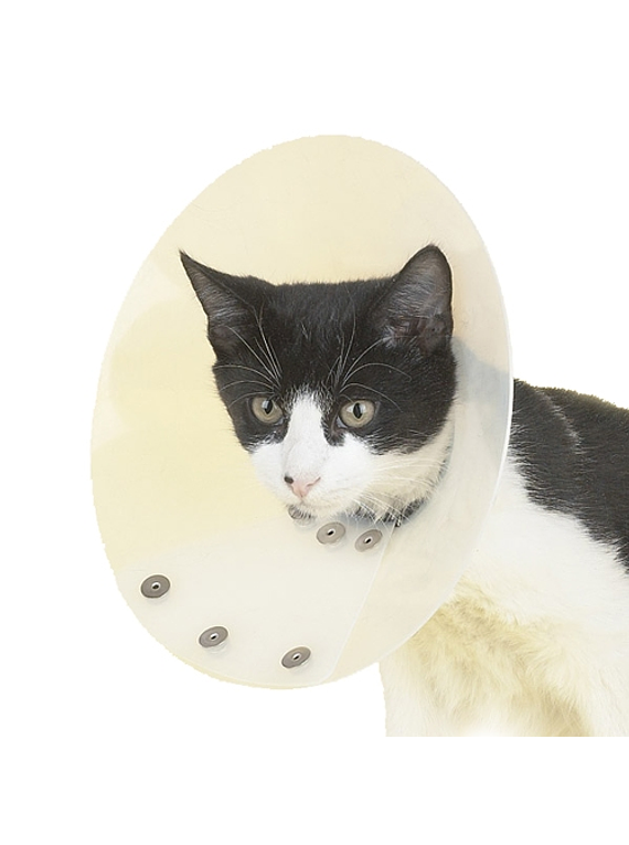 Collar Isabelino 7.5cms