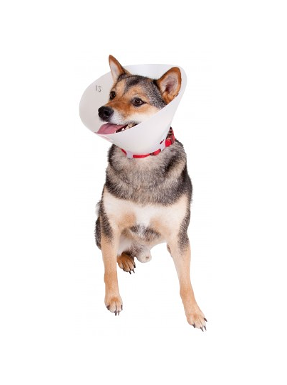 Collar Isabelino 15cms