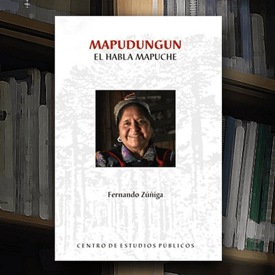 Mapudungun El Habla Mapuche