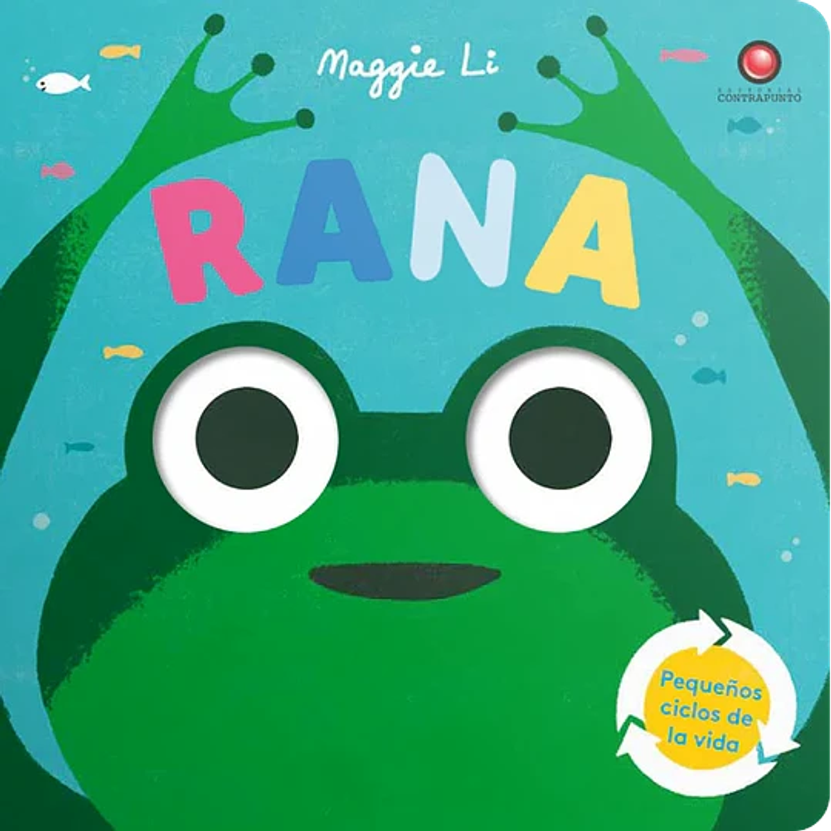 Rana Pequeños Ciclos De La Vida