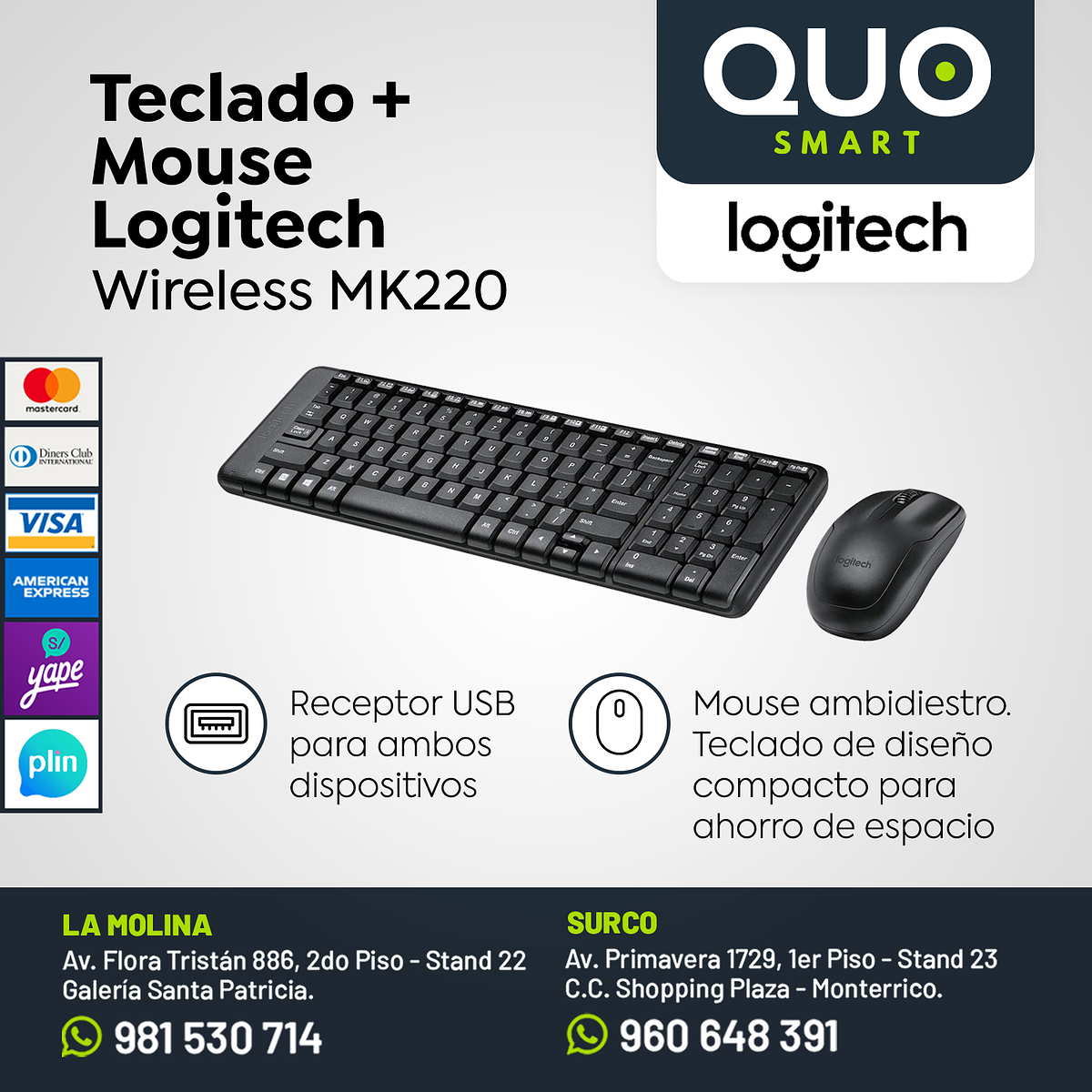 TECLADO LOGITECH + MOUSE WIRELESS MK220 ESP