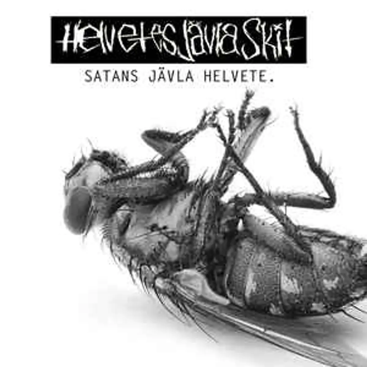 DIGI CD HELVETES JÄVLA SKIT Satans Jävla Helvete