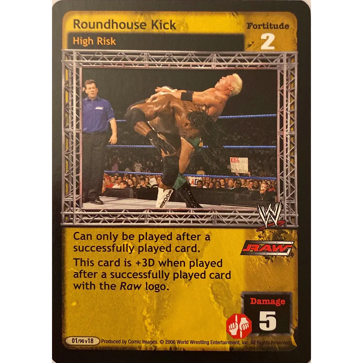 Roundhouse Kick | Ready 2 Fight