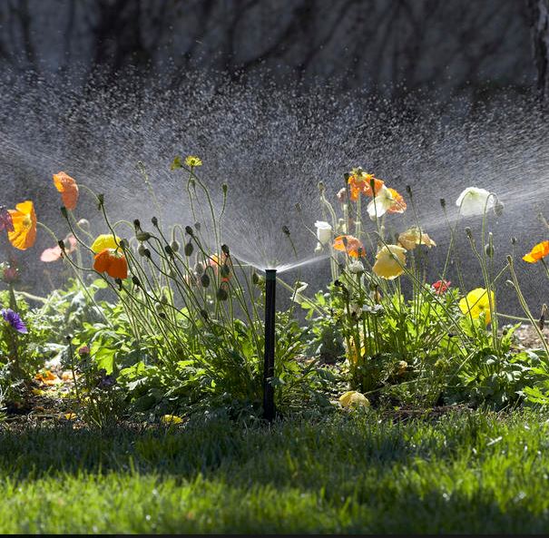 Pop up pro spray hunter