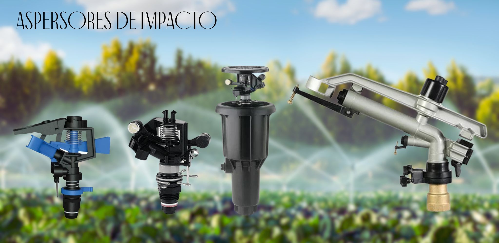 Asperores de Riego