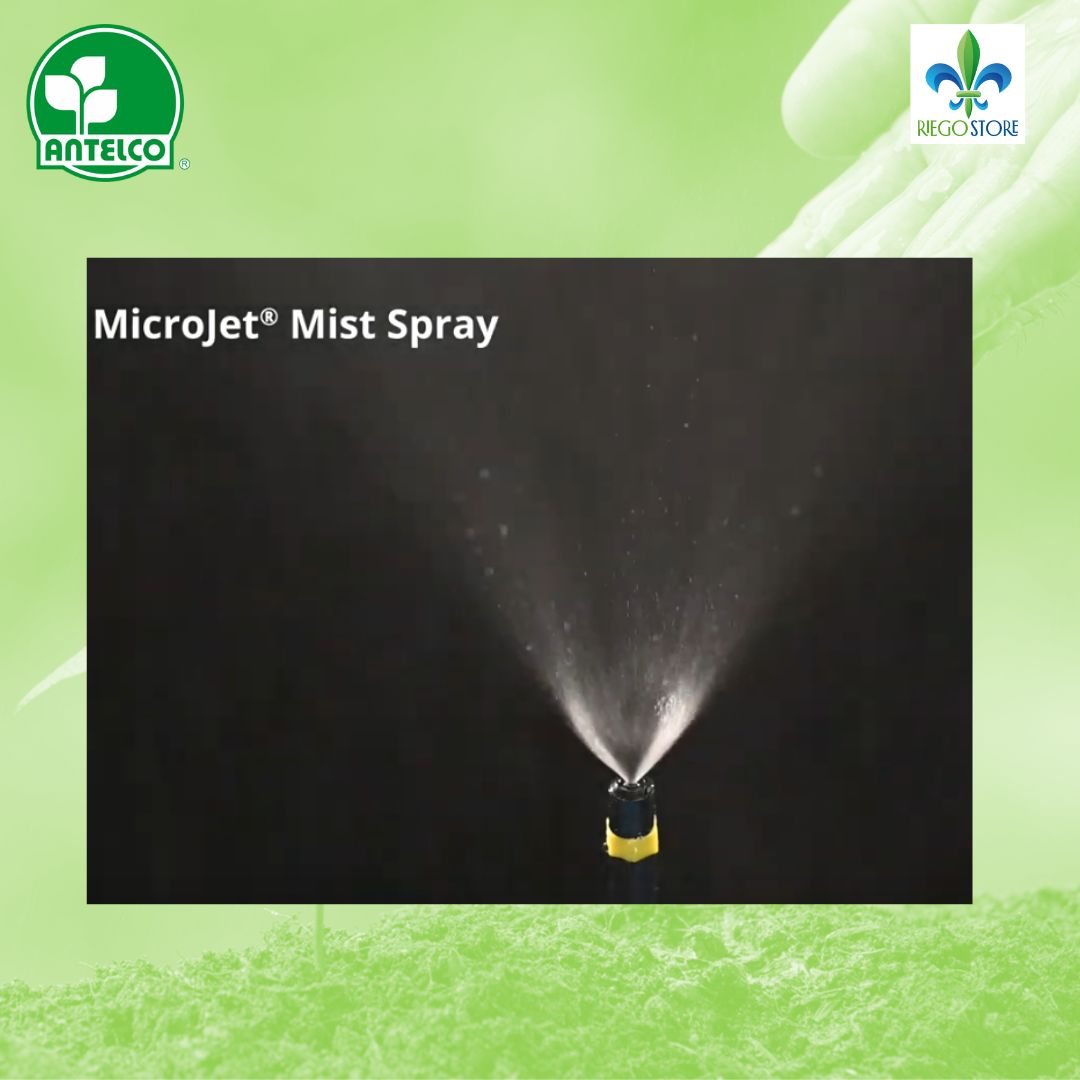 Micro Jet Base Amarilla - Cabeza Negra Nebulizador 22 a 56 l