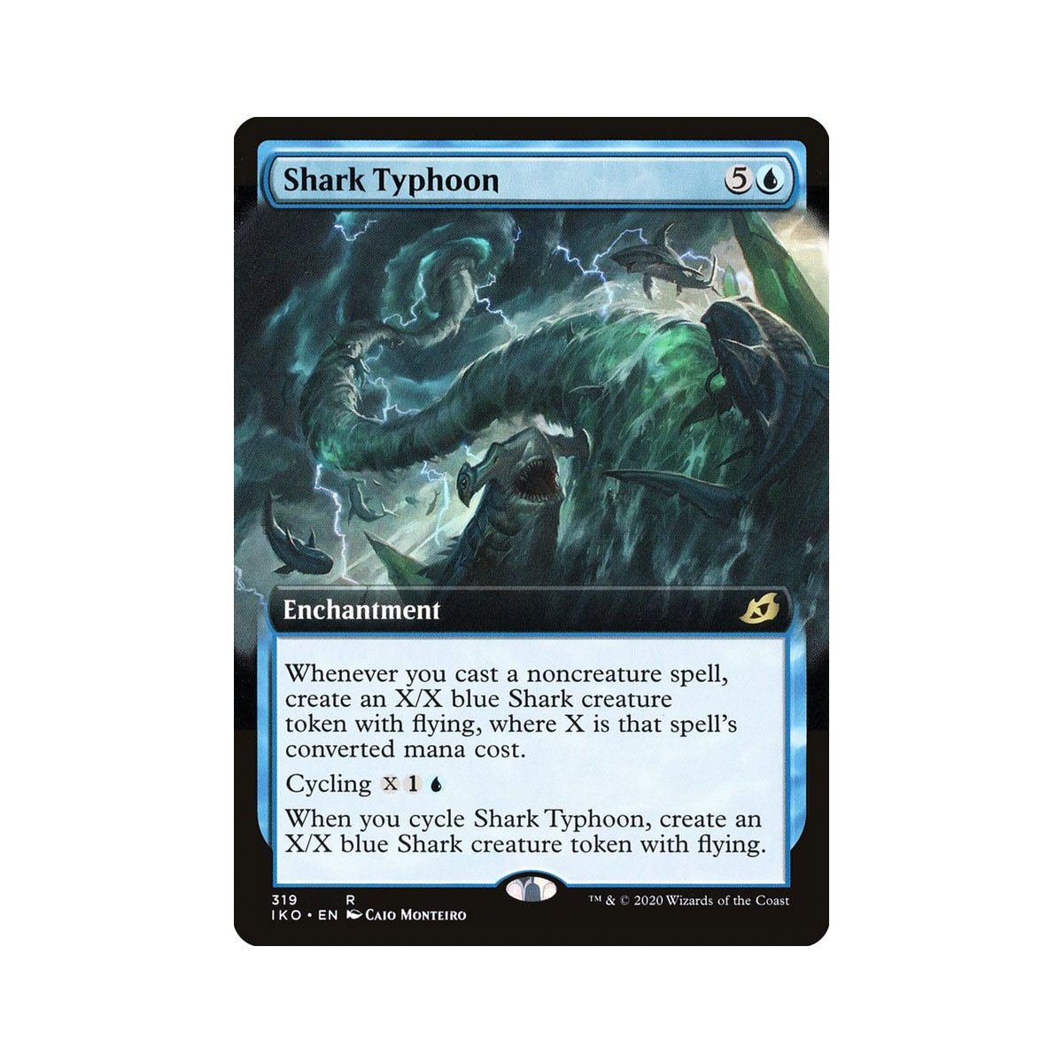 Shark Typhoon #319