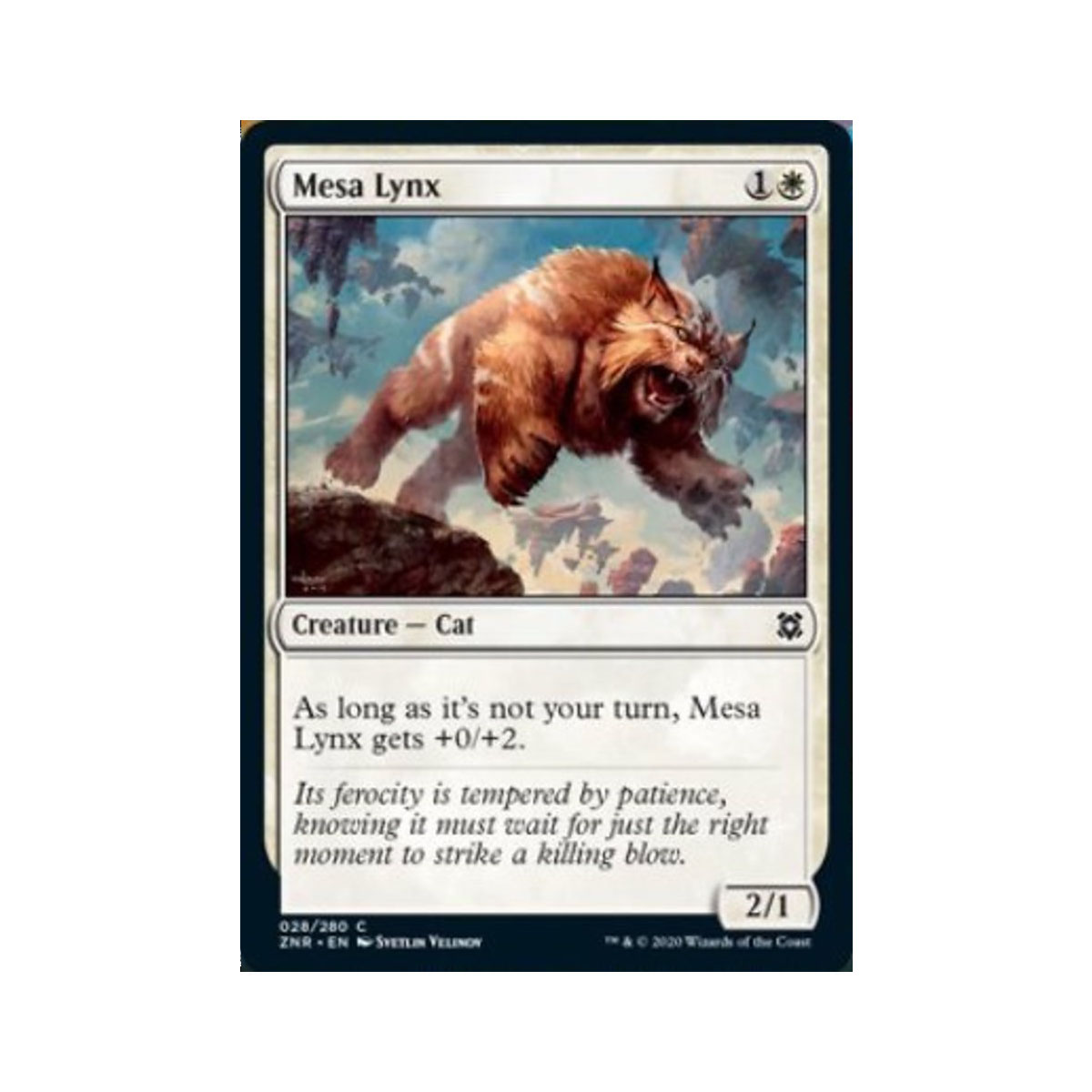 Mesa Lynx #028
