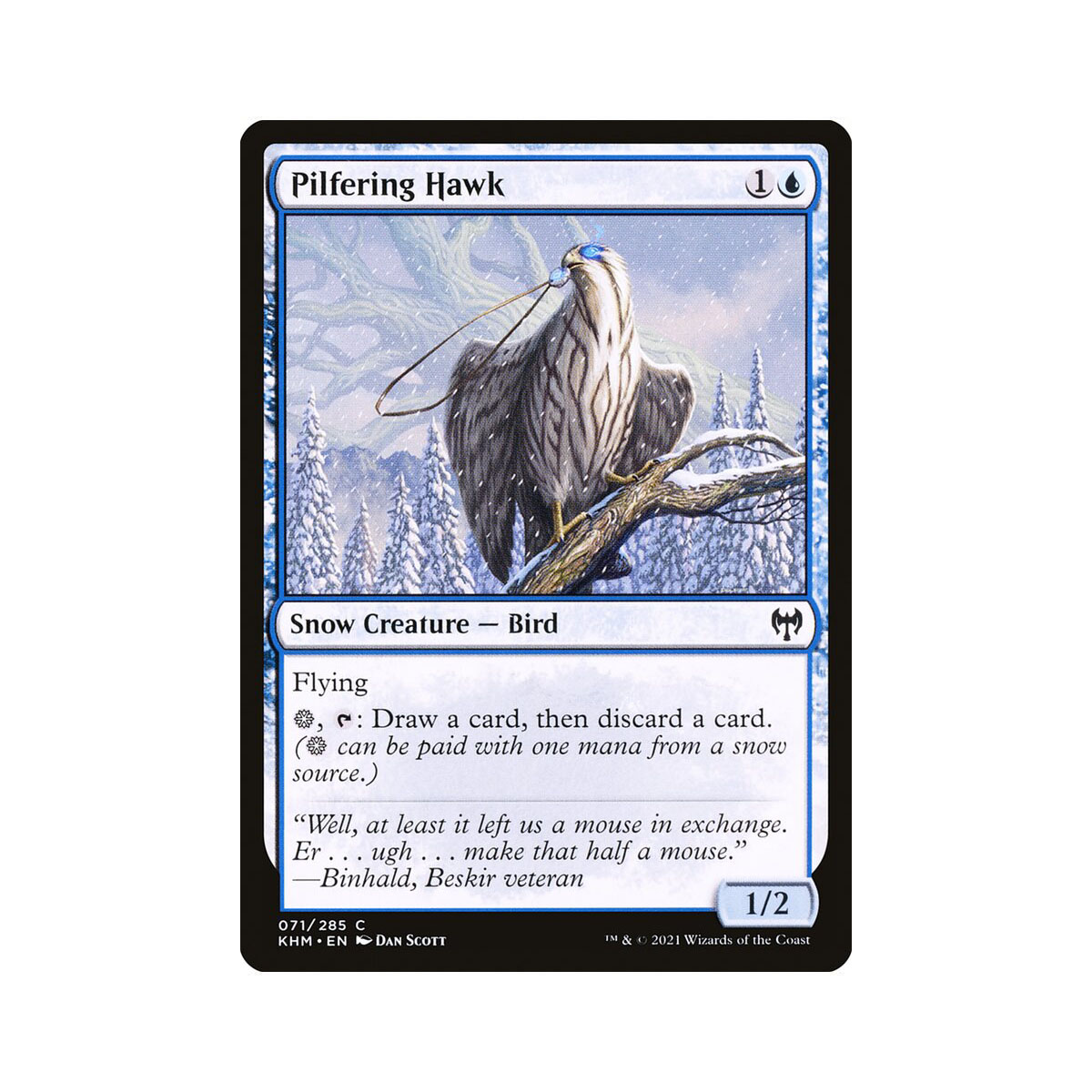 Pilfering Hawk #071