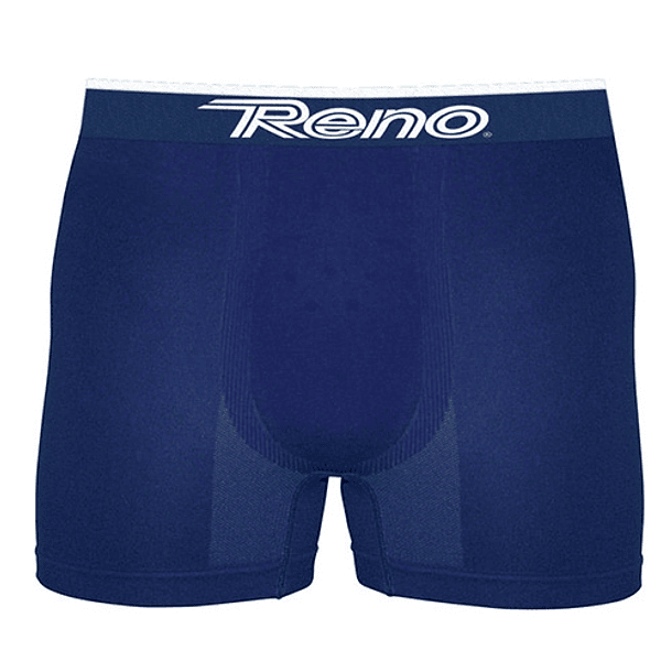 Boxer Reno hockey