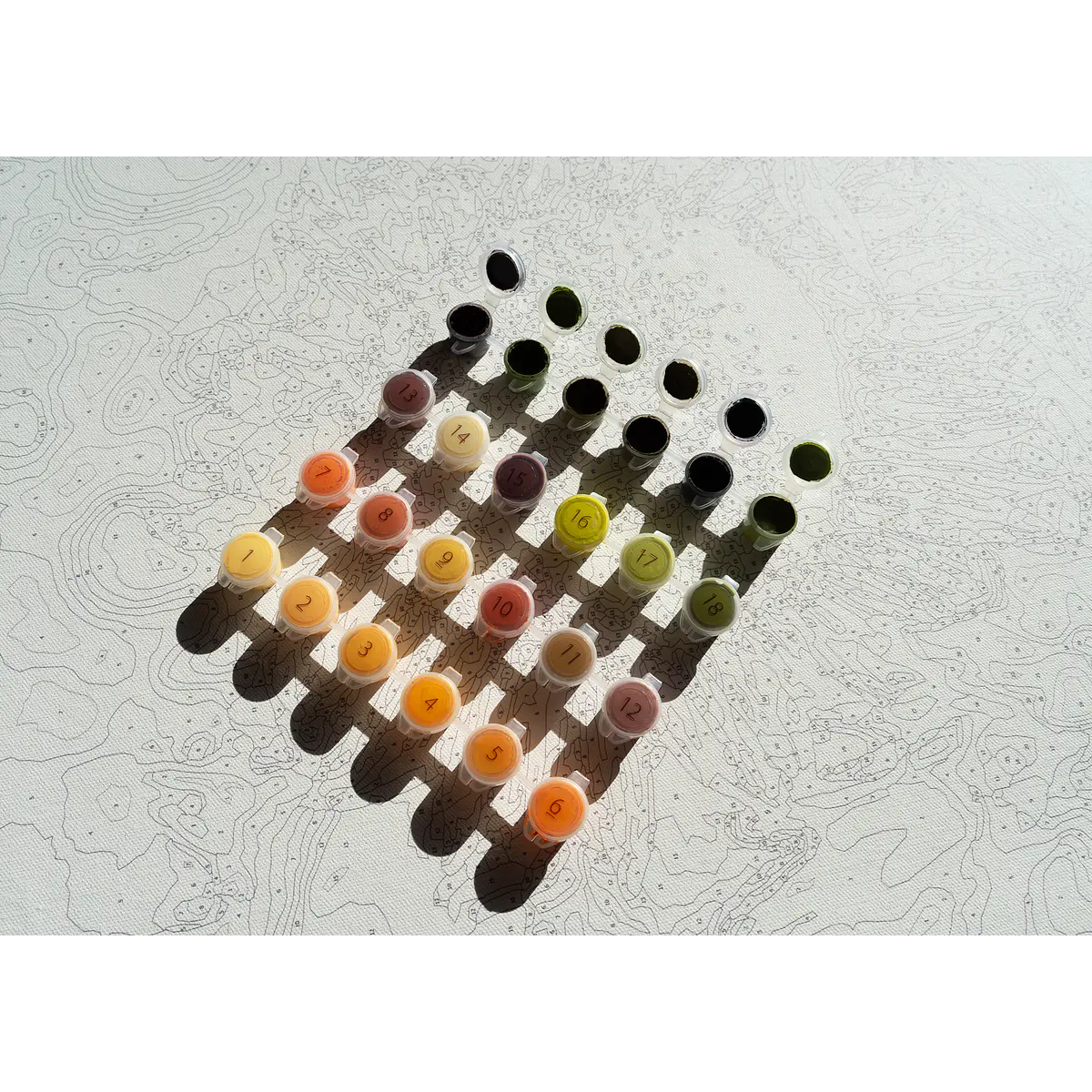 Fotografía para pintar - Girasol - 24 colores | Rudica
